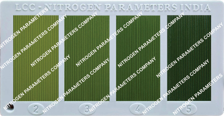 About Leaf Color Chart (LCC)